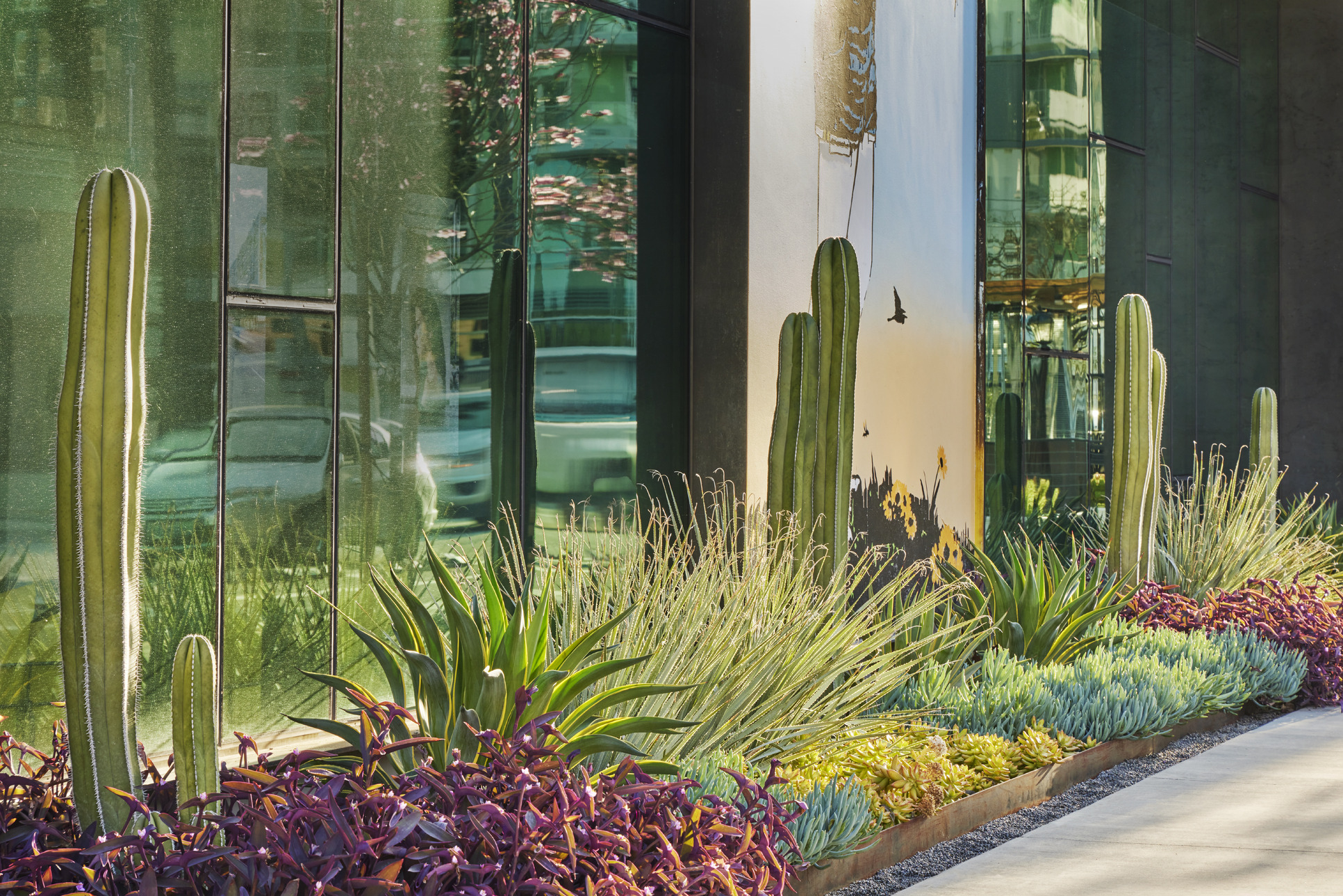 RDC Headquarters | L.A. Architecture Firm | Design and Branding