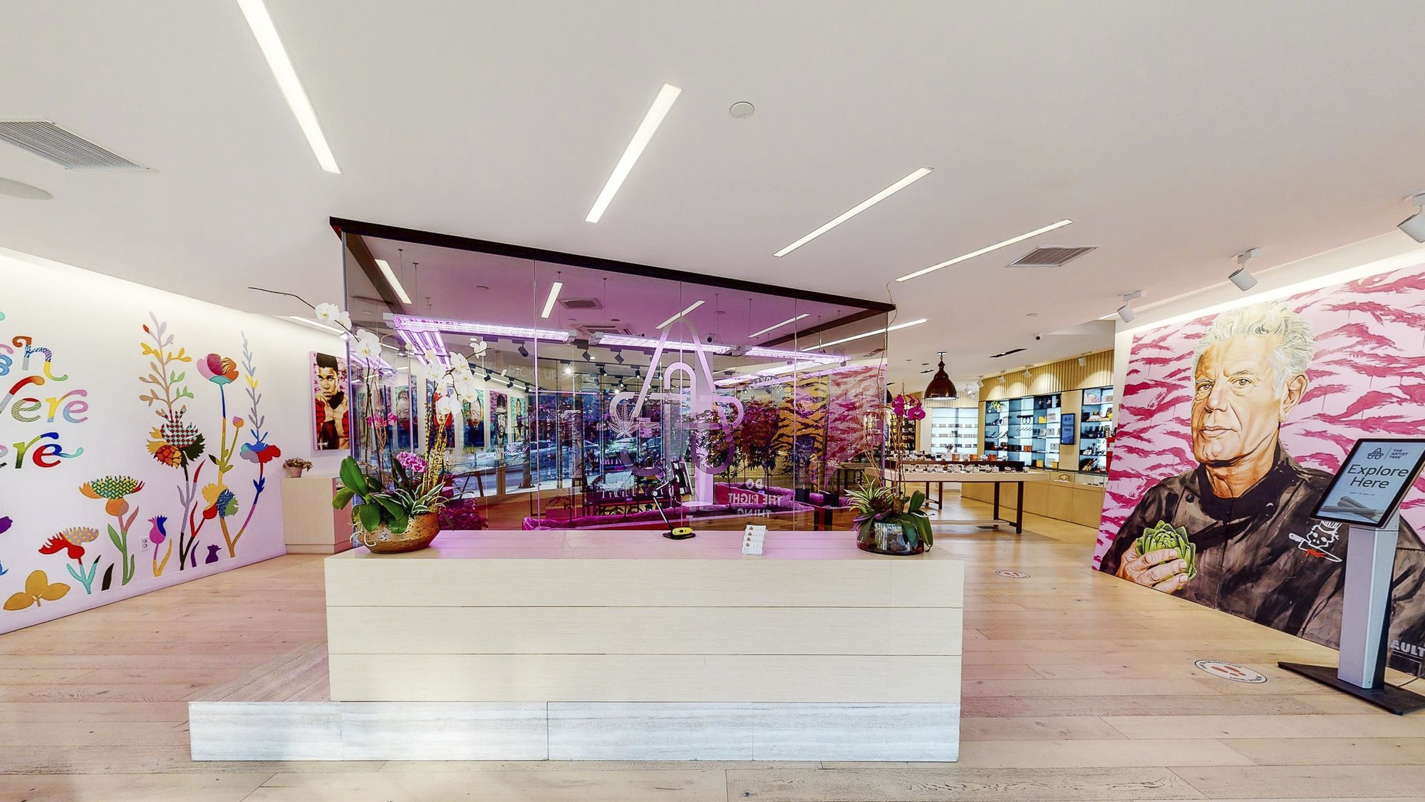 Cannabis Store Planning | Los Angeles | The Artist Tree - RDC